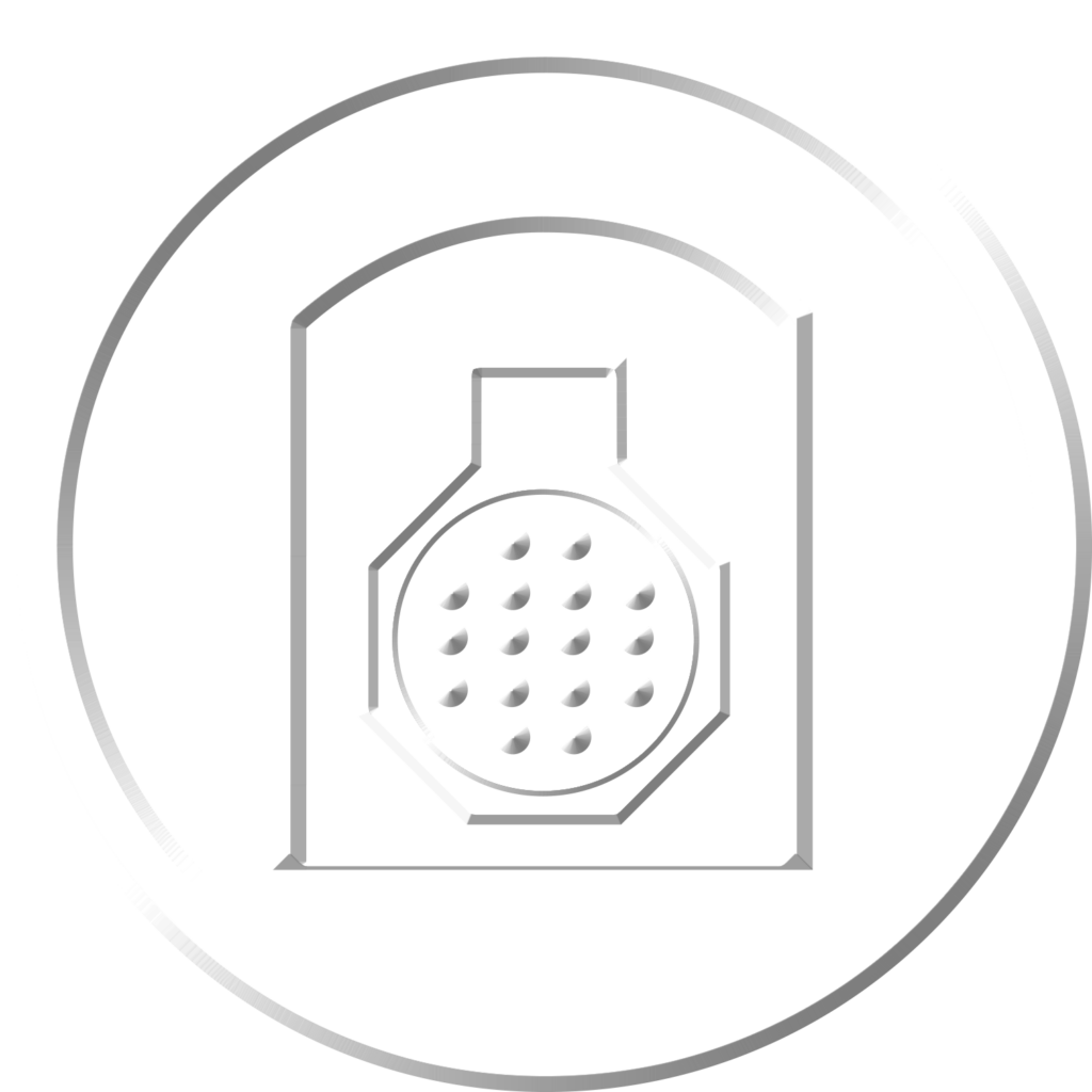 BWRX-300 - | People Strong. Innovation Driven.