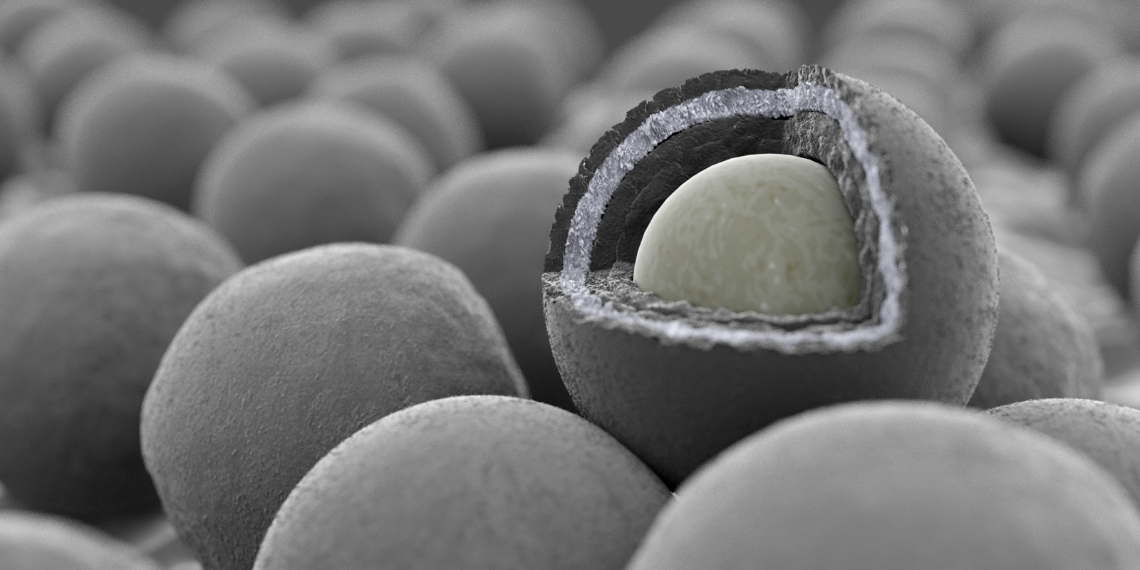 TRISO - | People Strong. Innovation Driven.